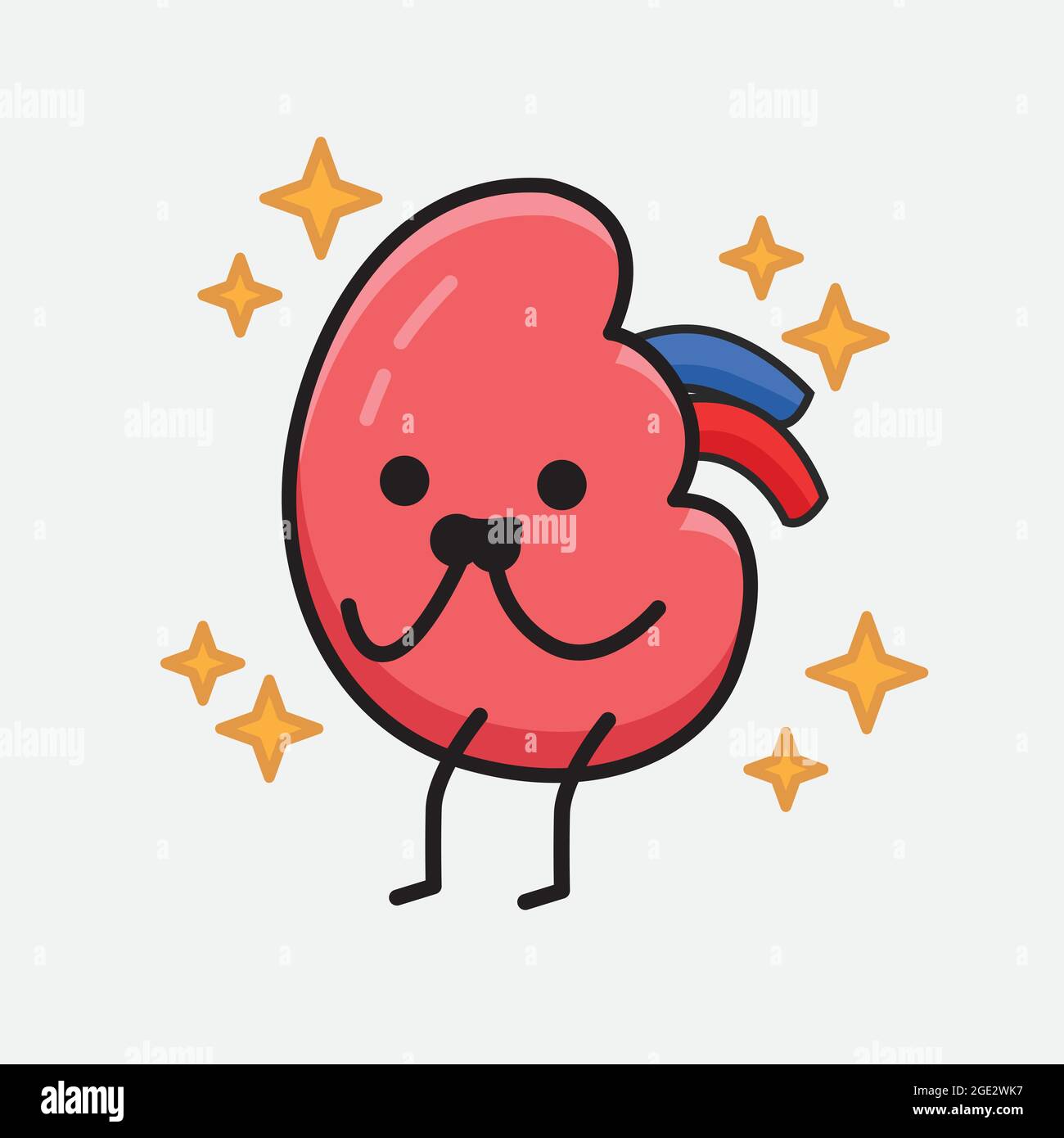 Vector Illustration of Kidney Character with cute face and simple body ...