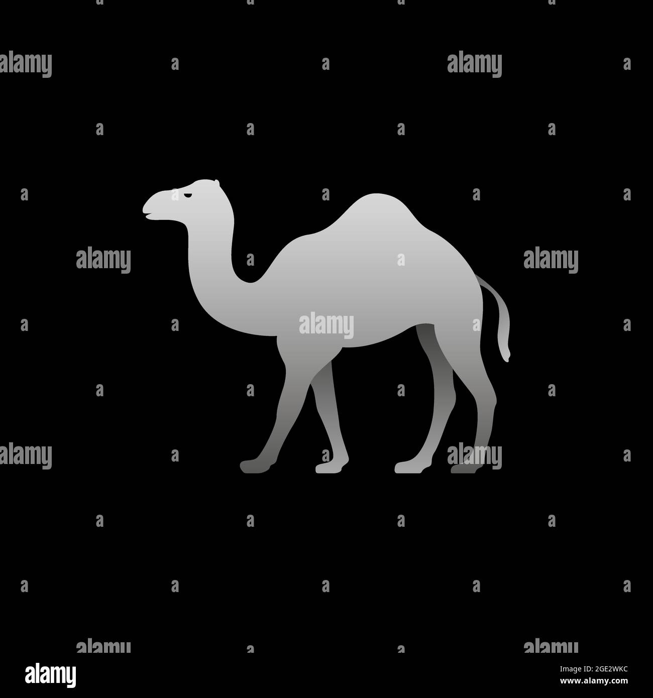 Silhouette of a gray camel standing. Camel side view profile Stock ...