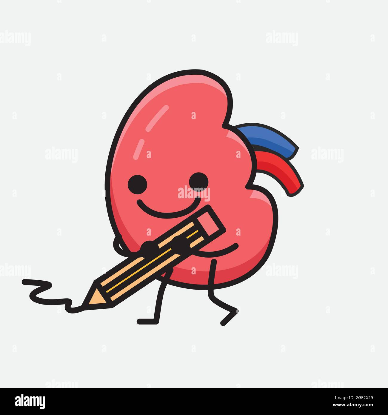Vector Illustration of Kidney Character with cute face and simple body ...