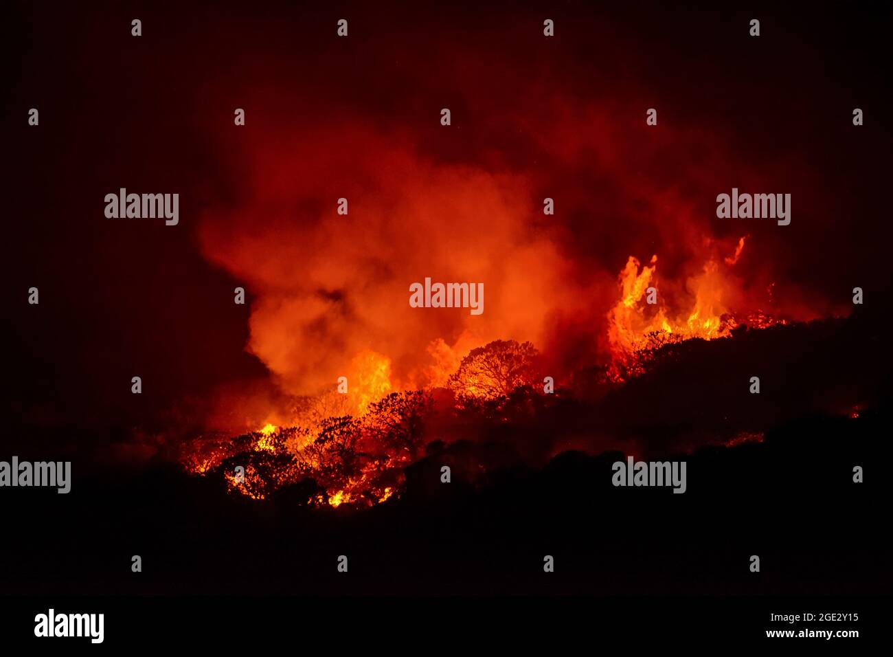 A fynbos wildfire burning through the night in the Western Cape, South ...