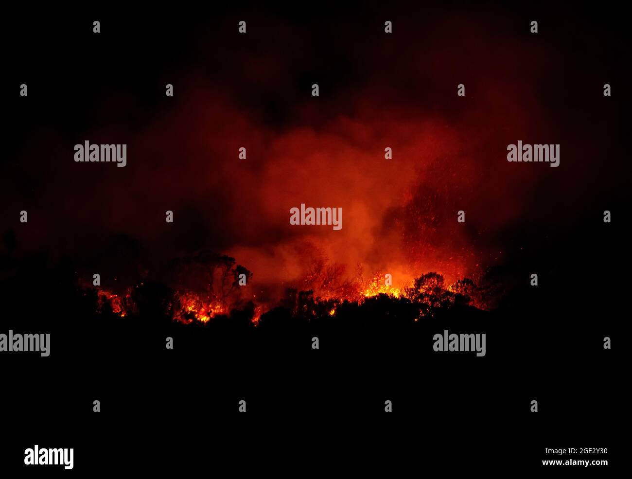 A fynbos wildfire burning through the night in the Western Cape, South ...