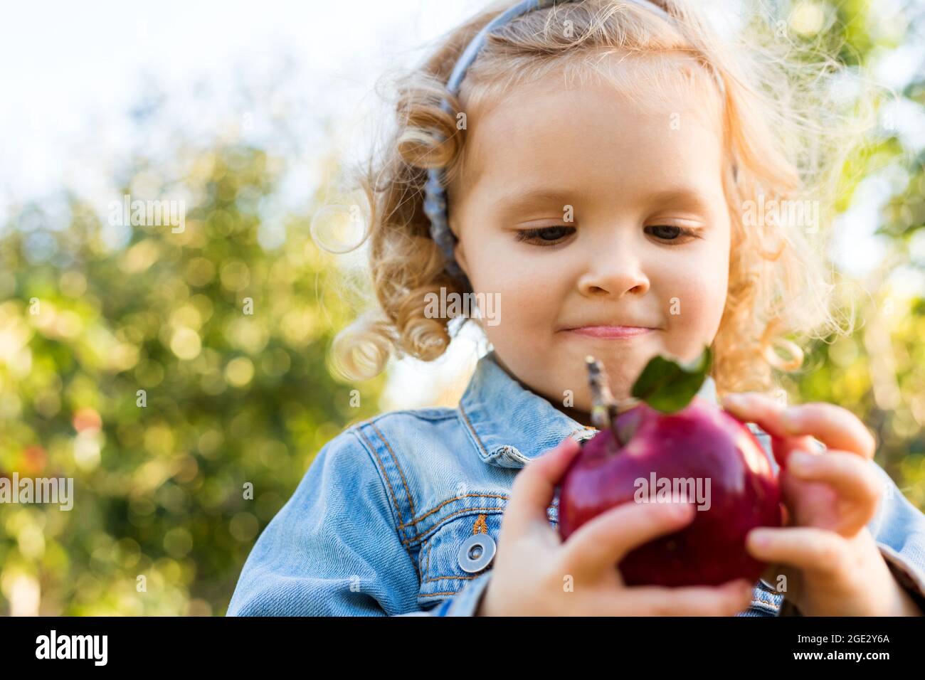 Little girl child eating an apple outdoors closeup portrait. Blonde ...