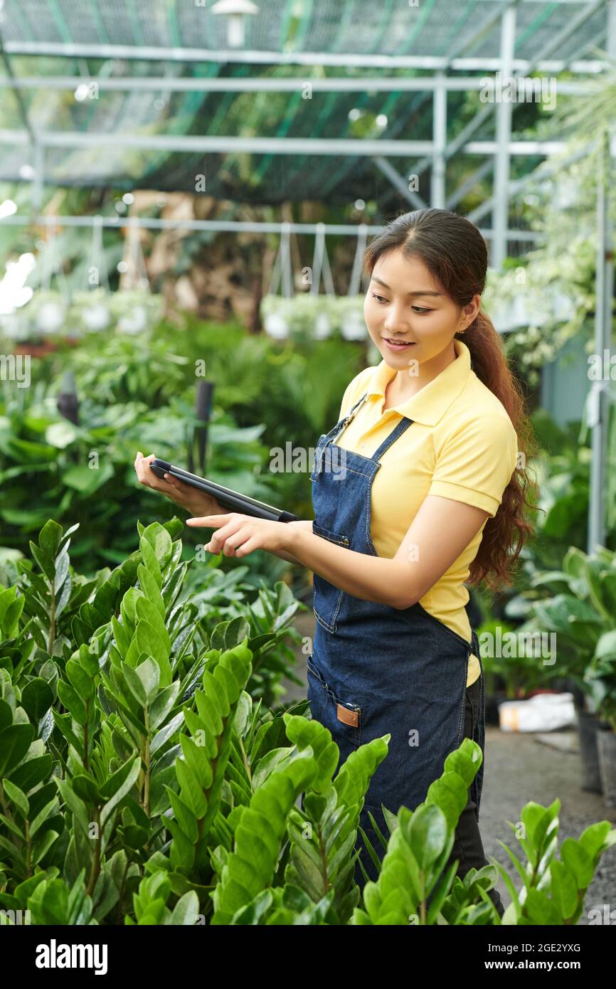 Plant market manager with tablet computer collecting plants that were ...
