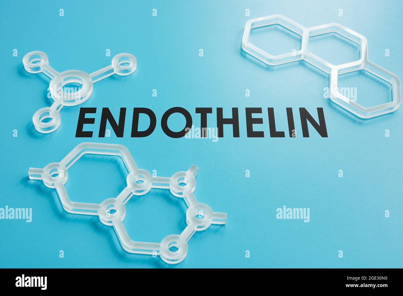Endothelin word on the blue surface and molecule models Stock Photo - Alamy