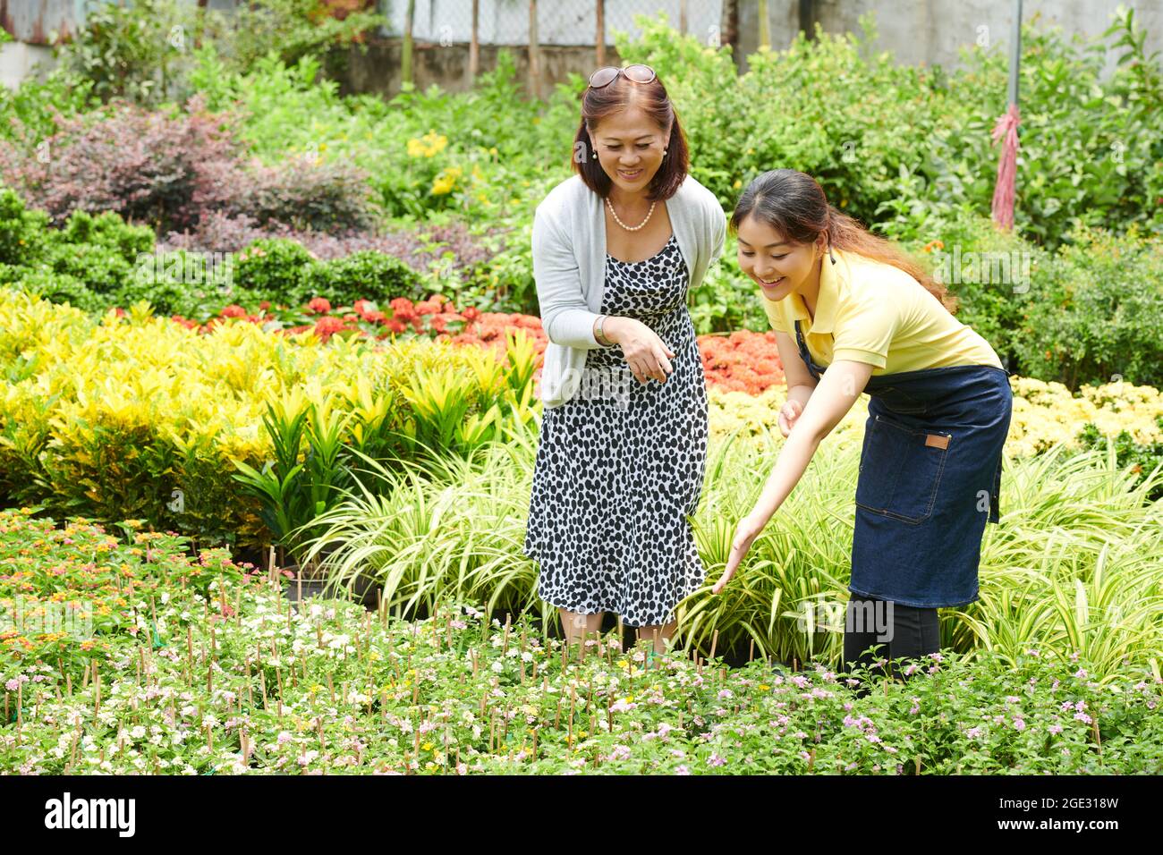 Smiling plant market worker giving a tour to mature female customer and ...