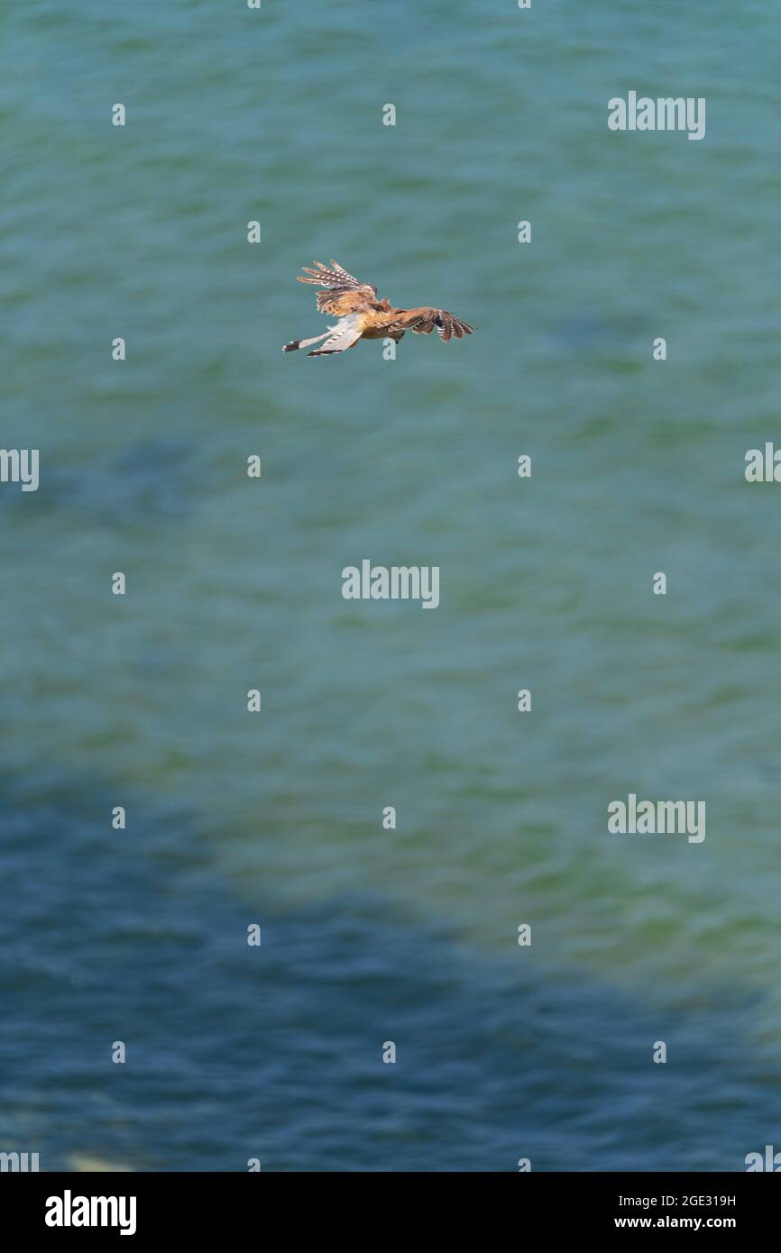 Pointe-Du-Hoc, France - 08 03 2021: Viewpoint from La Pointe-Du-Hoc ...
