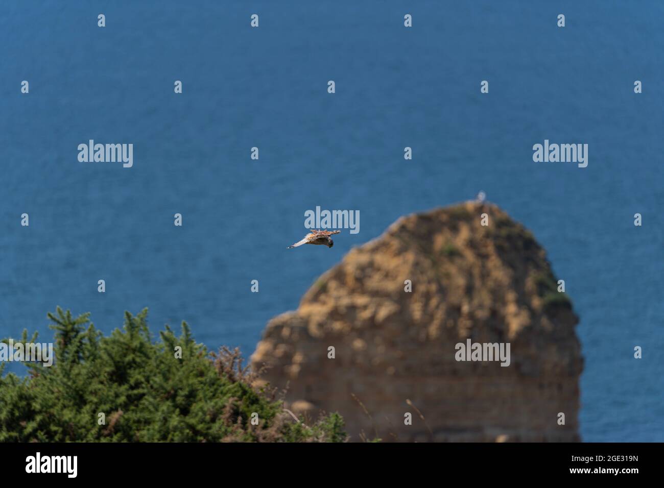 Pointe-Du-Hoc, France - 08 03 2021: Viewpoint from La Pointe-Du-Hoc ...