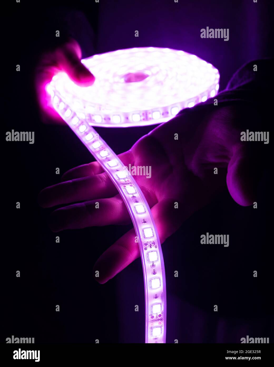 decorative led diode strip magenta color in hand Stock Photo - Alamy