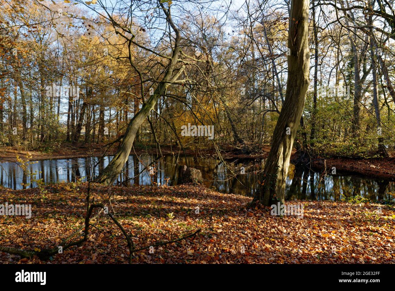 A landscape in the east of the Netherlands. This landscape is near the ...