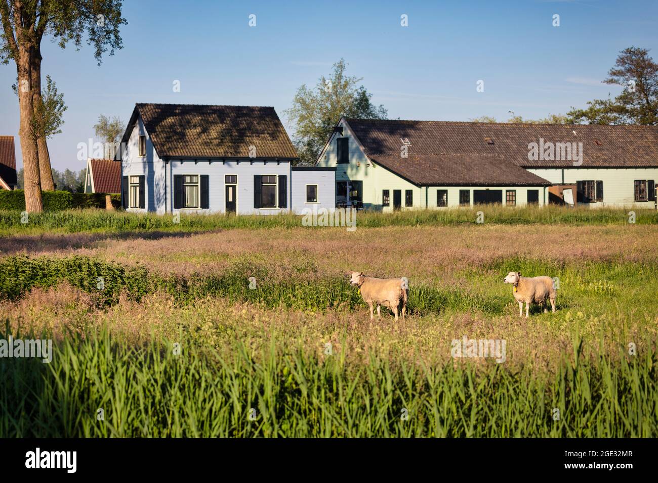 The Netherlands, Edam. Fort bij Kwadijk. Amsterdam Defence Line, UNESCO ...