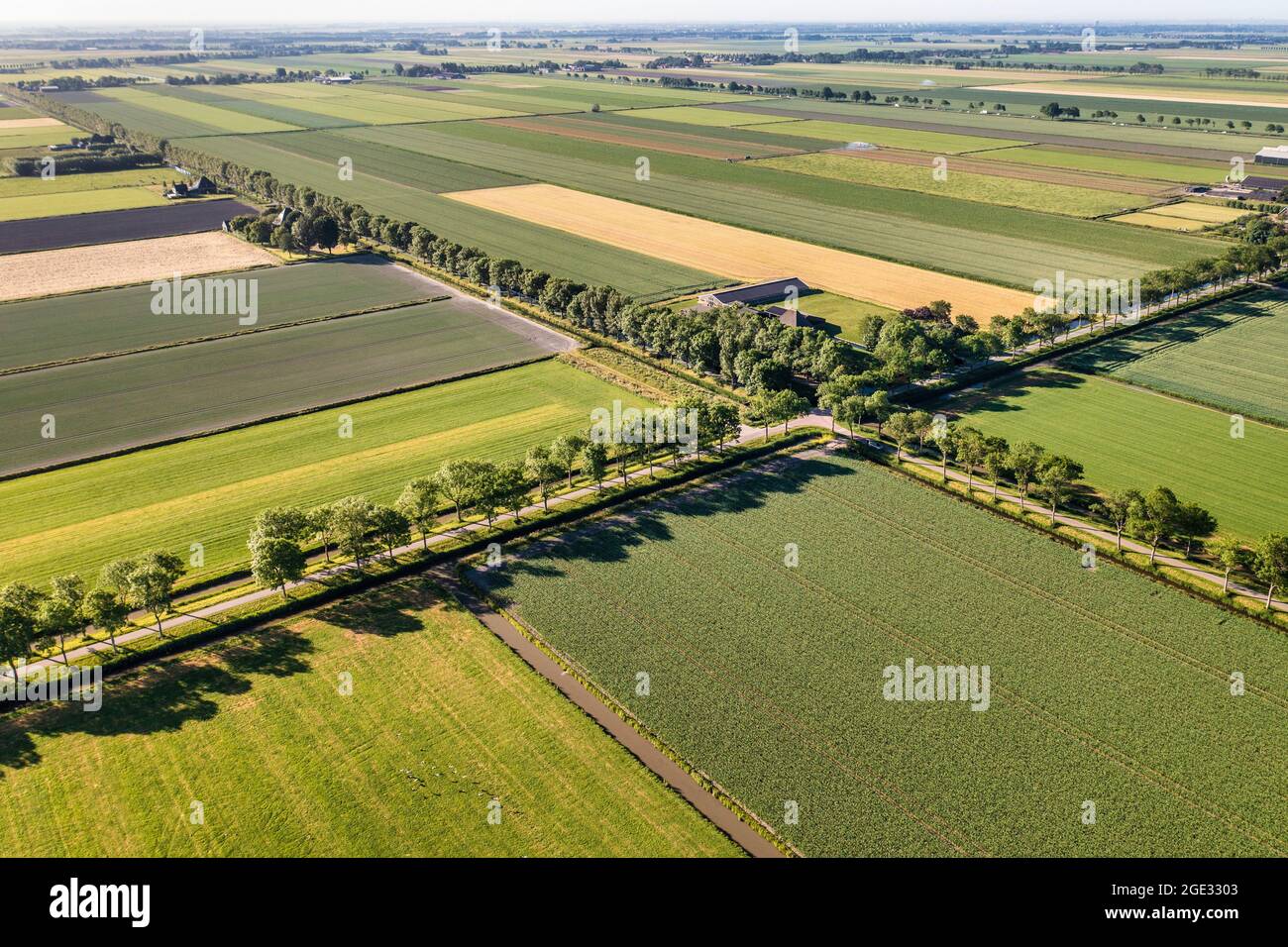 The Netherlands, Noordbeemster, farmland. Aerial. Beemster Polder ...