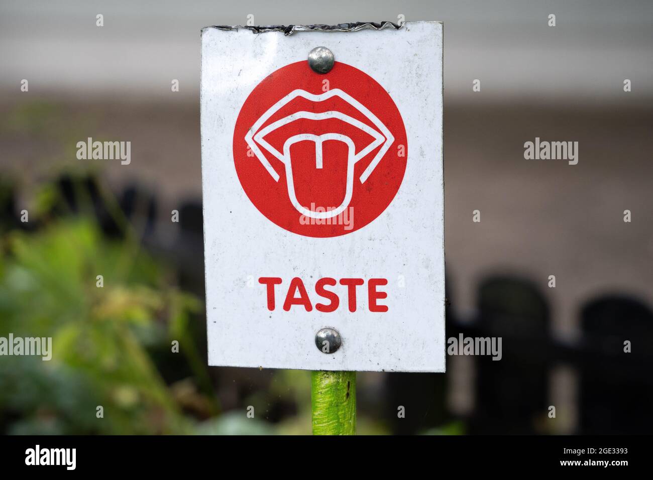 Taste Sign from Sensory Garda For Children Stock Photo - Alamy