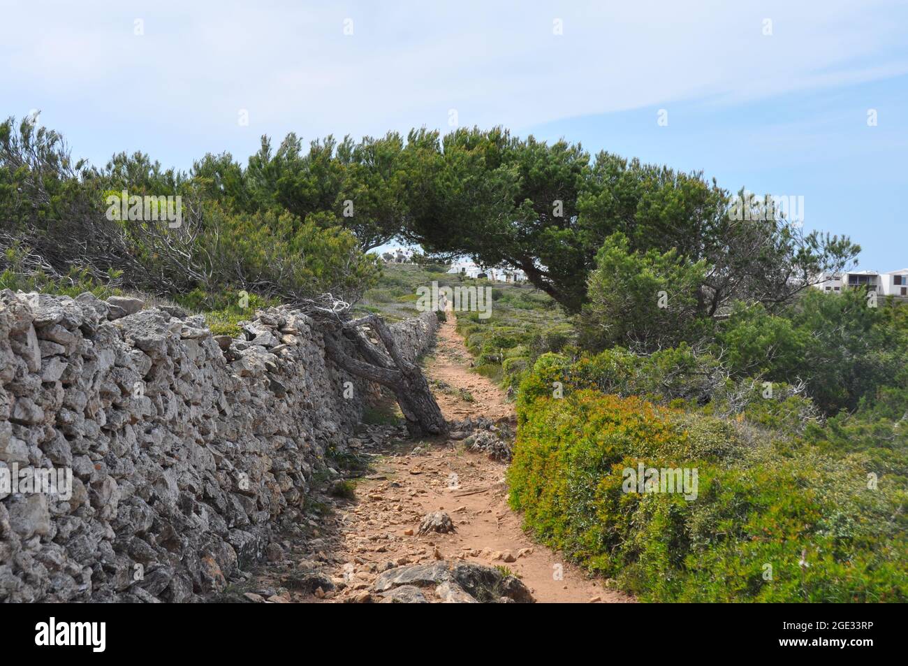 Hiking path through remote green Menorca landscape Stock Photo - Alamy