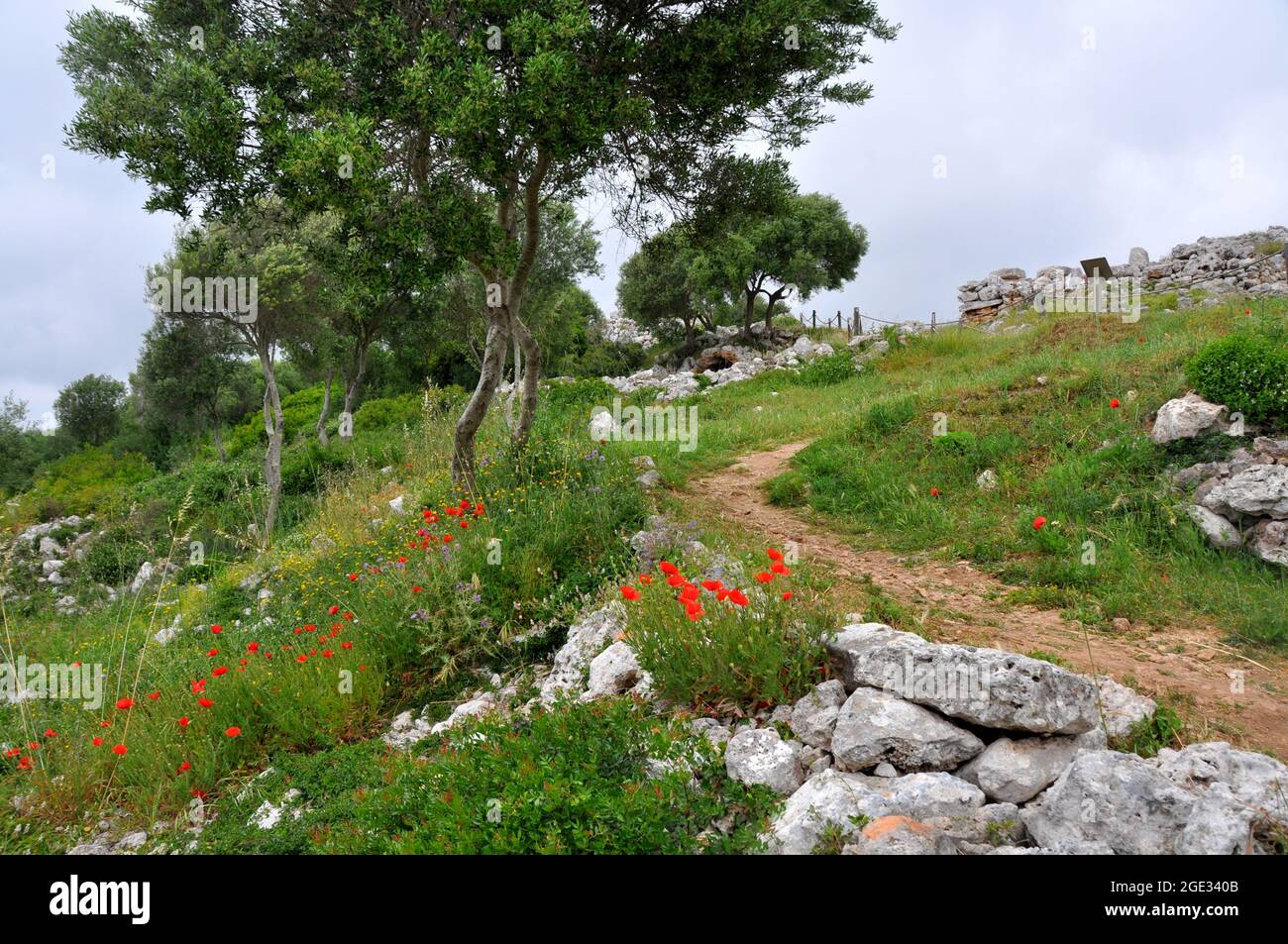 Hiking path through remote green Menorca landscape Stock Photo - Alamy