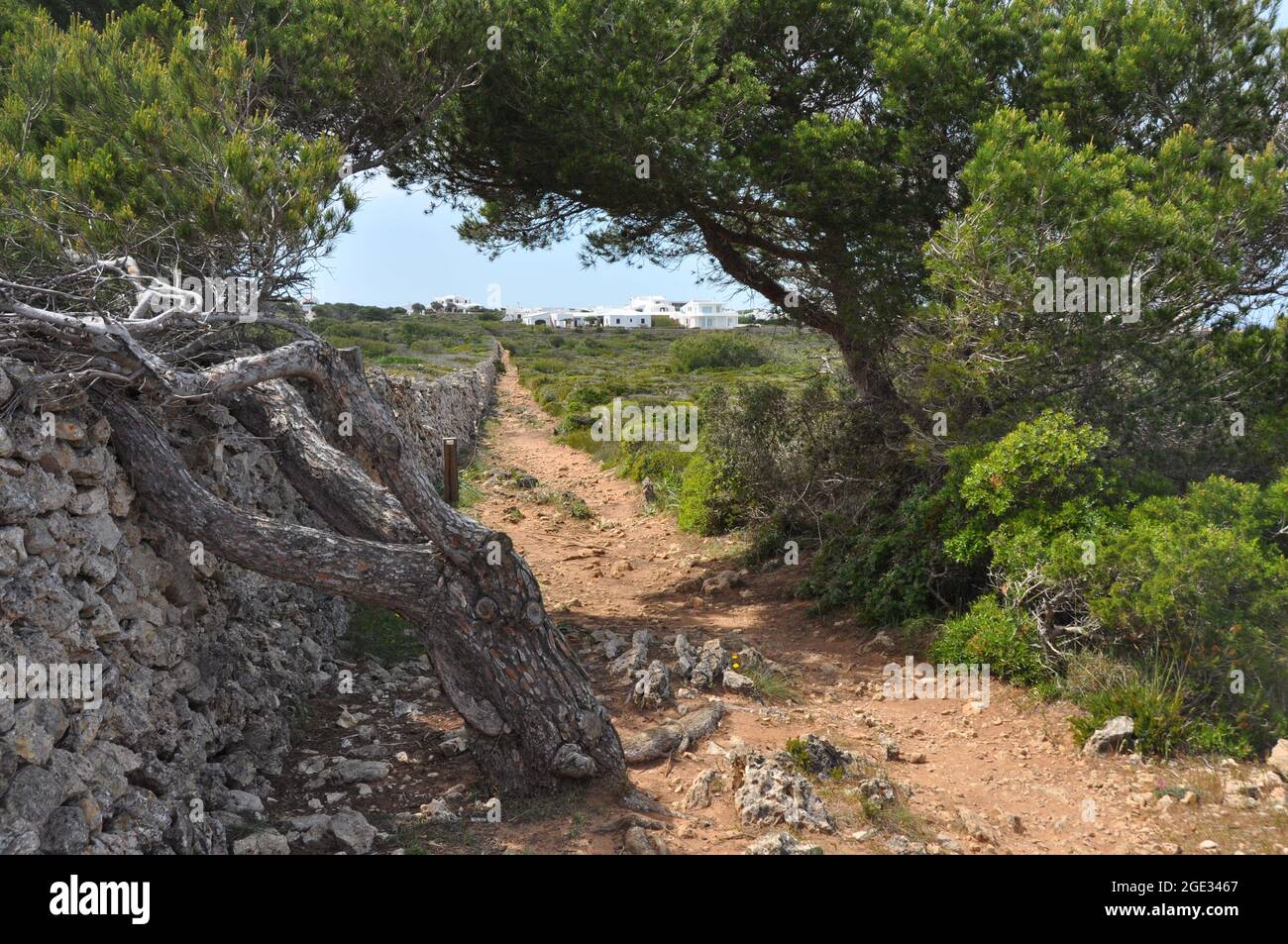 Hiking path through remote green Menorca landscape Stock Photo - Alamy