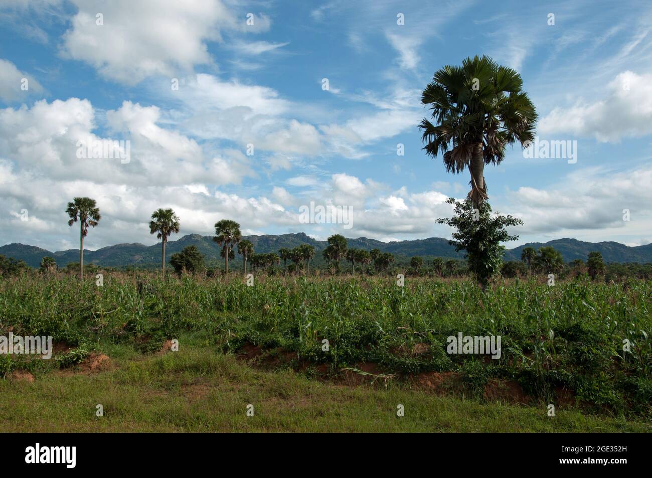 Jos Nigeria Africa Nigeria Jos Bauchi Rocks 7 Copy | African Travel,