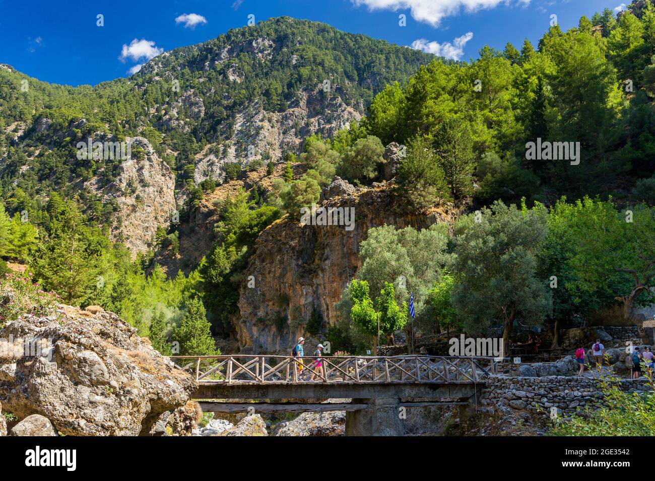 Hikers in a huge natural gorge with towering cliffs and pine trees ...