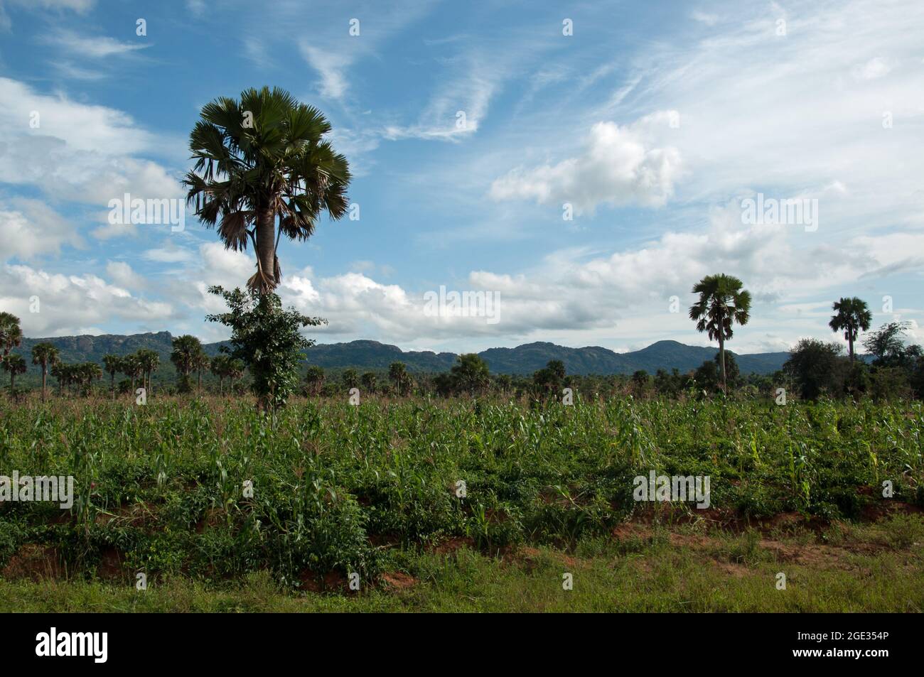 African Panorama, Kaduna State, Nigeria Stock Photo - Alamy