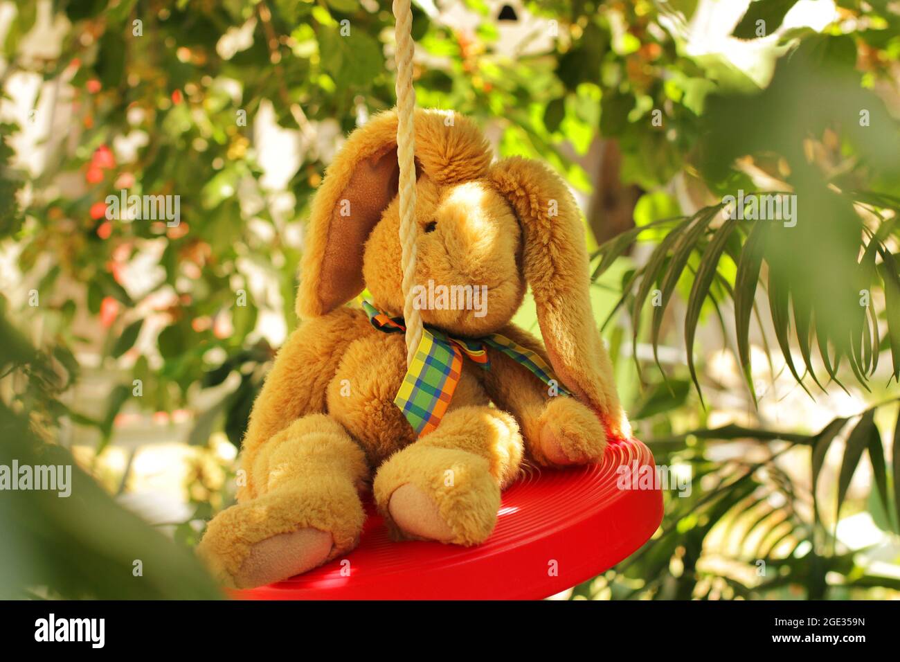 Abandoned soft toys hi-res stock photography and images - Alamy