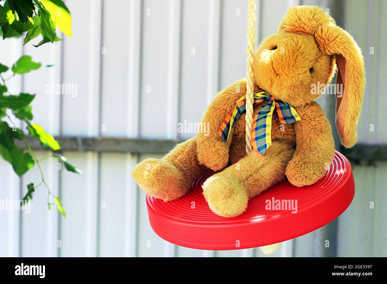 Abandoned soft toys hi-res stock photography and images - Alamy