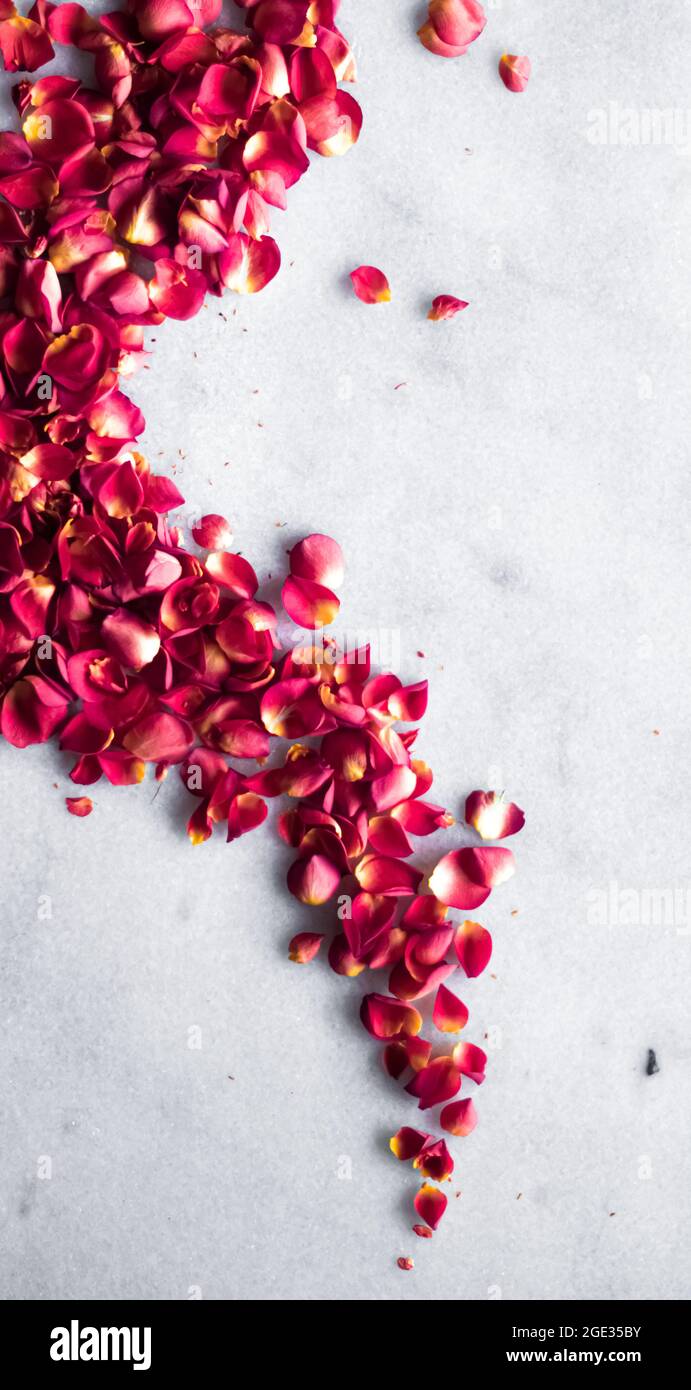 Rose petals on marble background, floral decor and wedding flatlay ...