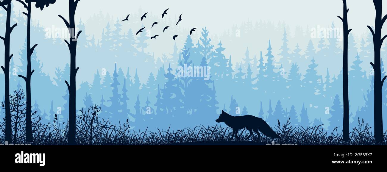 Horizontal banner. Silhouette of fox standing on meadow in forrest ...