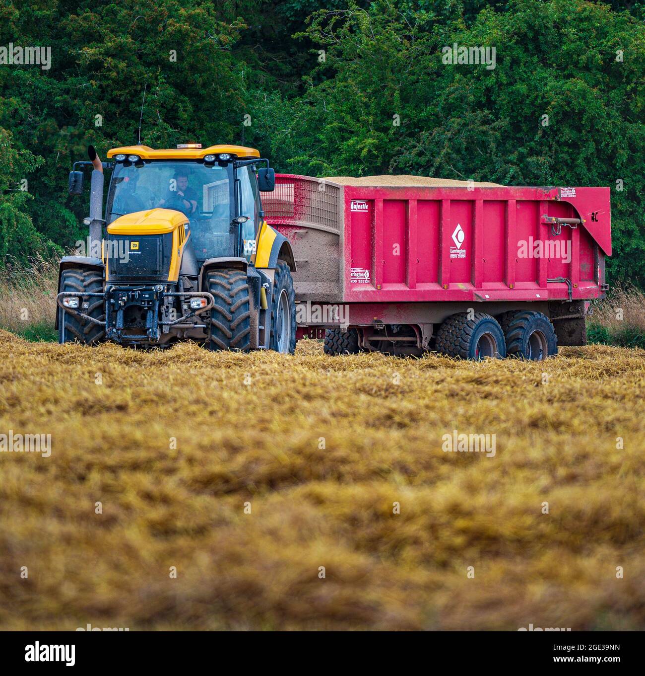 Caythorpe, Lincolnshire, UK – A Tractor and trailer carting the ...