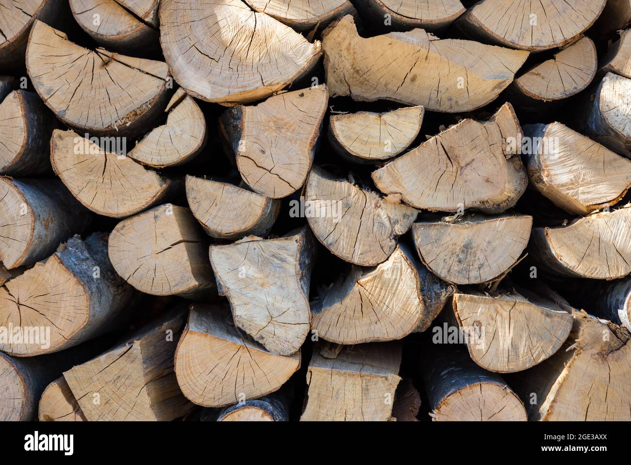 Pile of tree stumps on a wood storage Stock Photo - Alamy