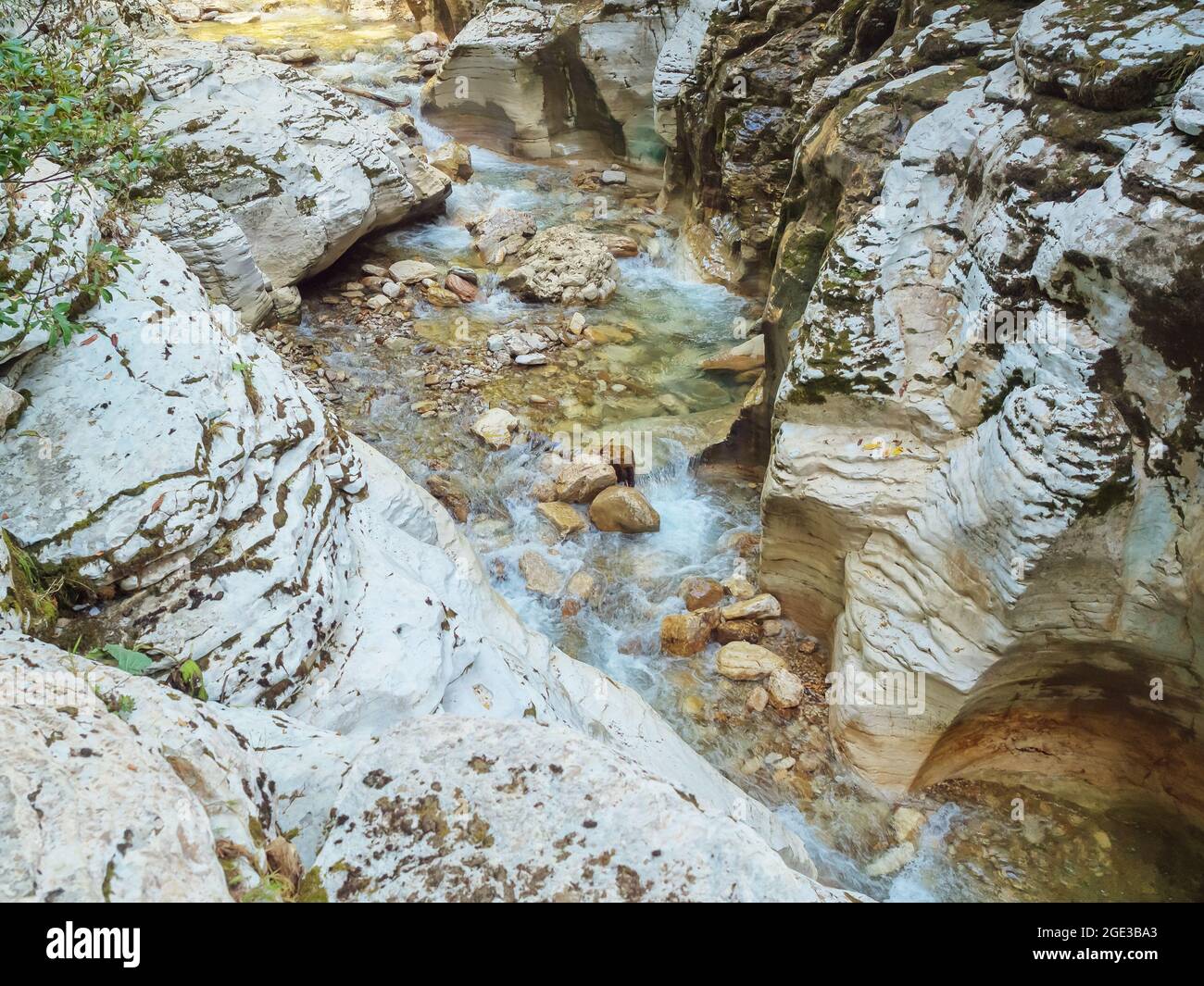 Clean transparent mountain river hi-res stock photography and images ...