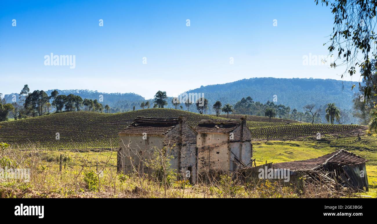 Landscape nature brazil hi-res stock photography and images - Alamy