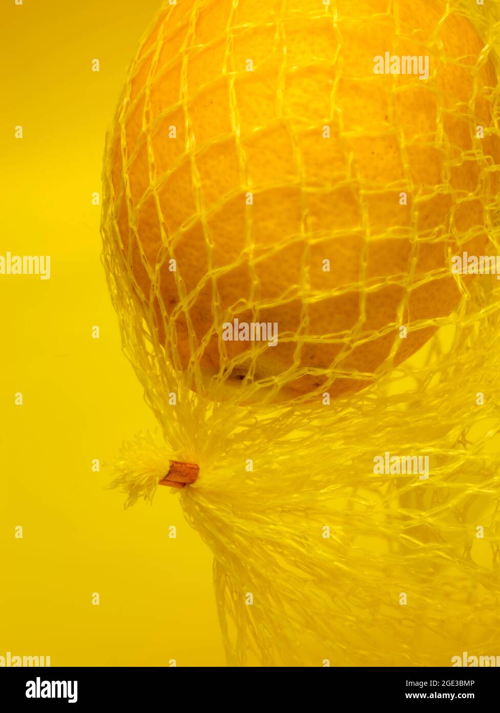 Still-life of single lemon against plain background Stock Photo - Alamy