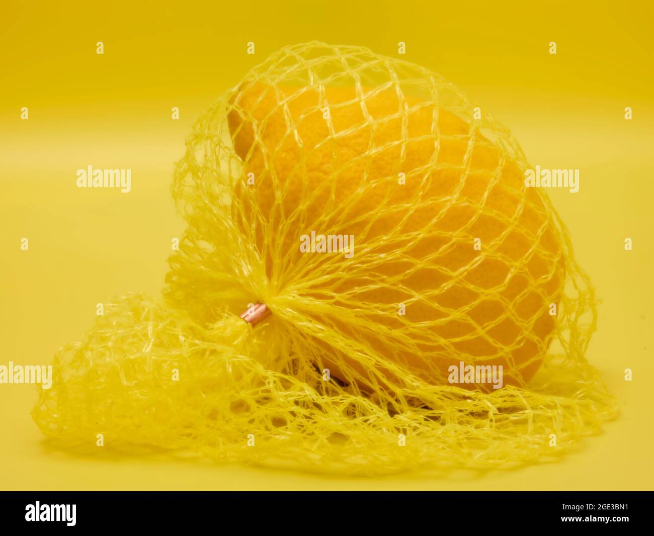 Still-life of single lemon against plain background Stock Photo - Alamy