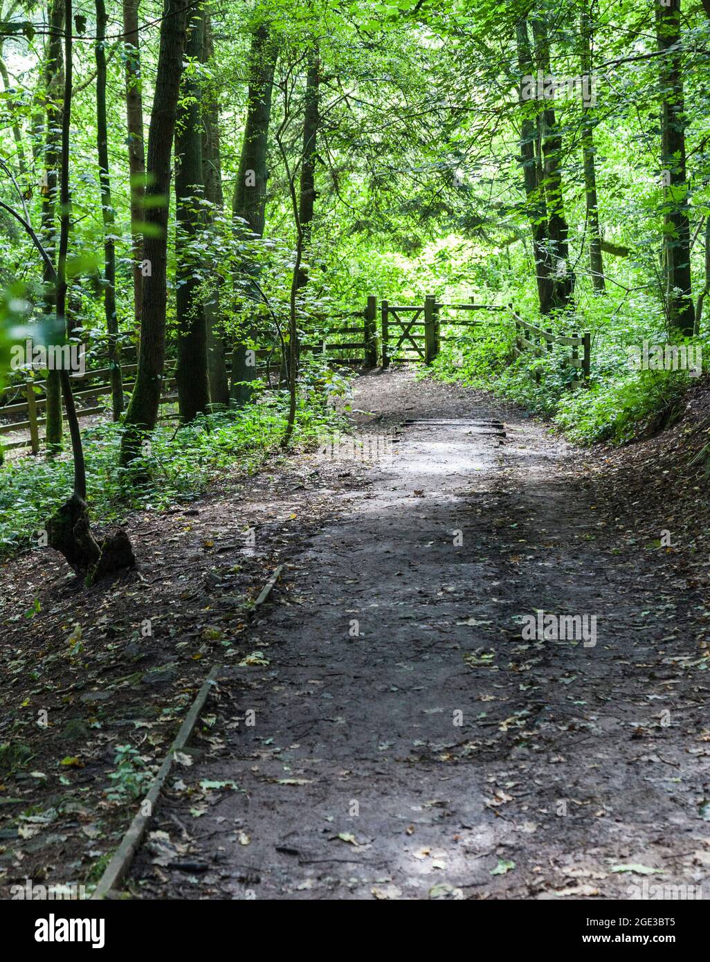 Wynyard Woodland Park,Stockton-on-Tees, England Stock Photo - Alamy