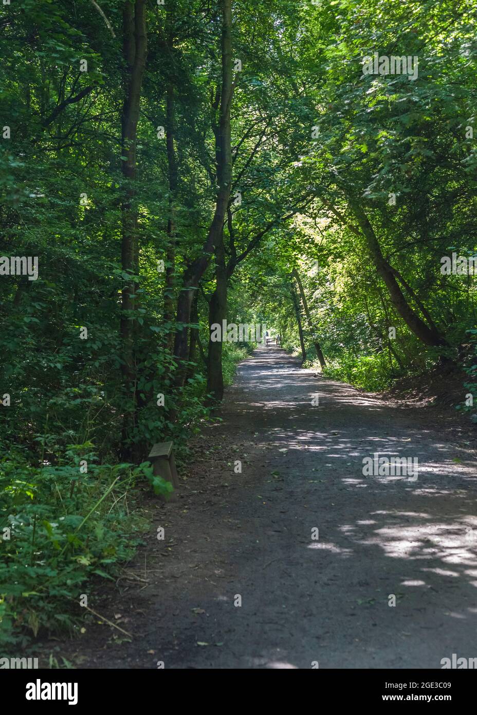 Wynyard Woodland Park,Stockton-on-Tees, England Stock Photo - Alamy