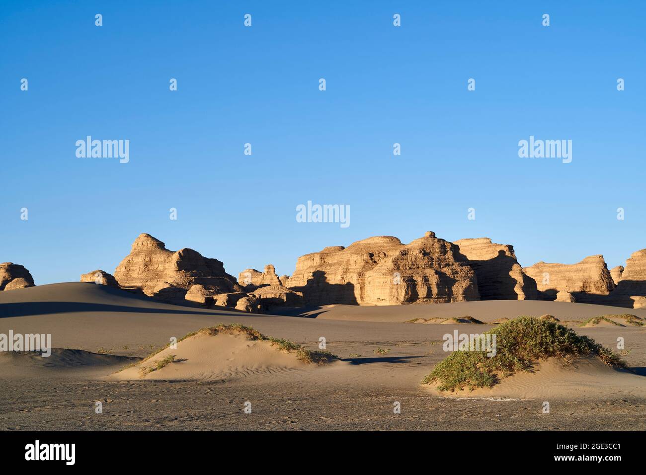 landscape of yardang landforms in national geological park near ...