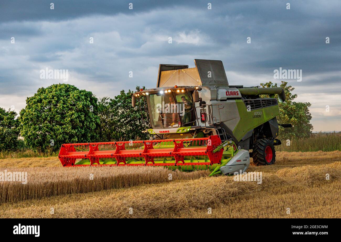 Normanton on Cliffe, Lincolnshire, UK – A Class combine harvester ...