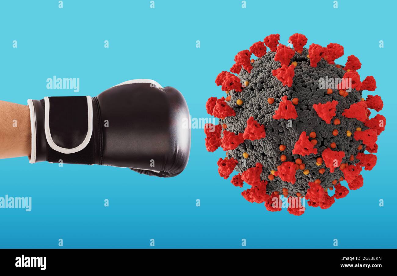 Punch with boxing glove hits the virus on cyan background Stock Photo ...