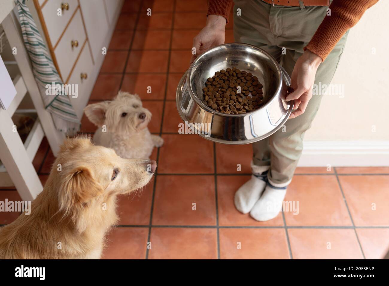 People feeding dogs hi-res stock photography and images - Alamy