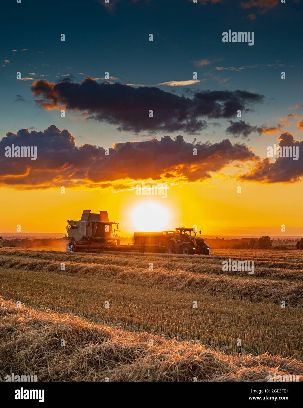 Caythorpe, Lincolnshire, UK – At sunset a Claas combine harvester, plus ...