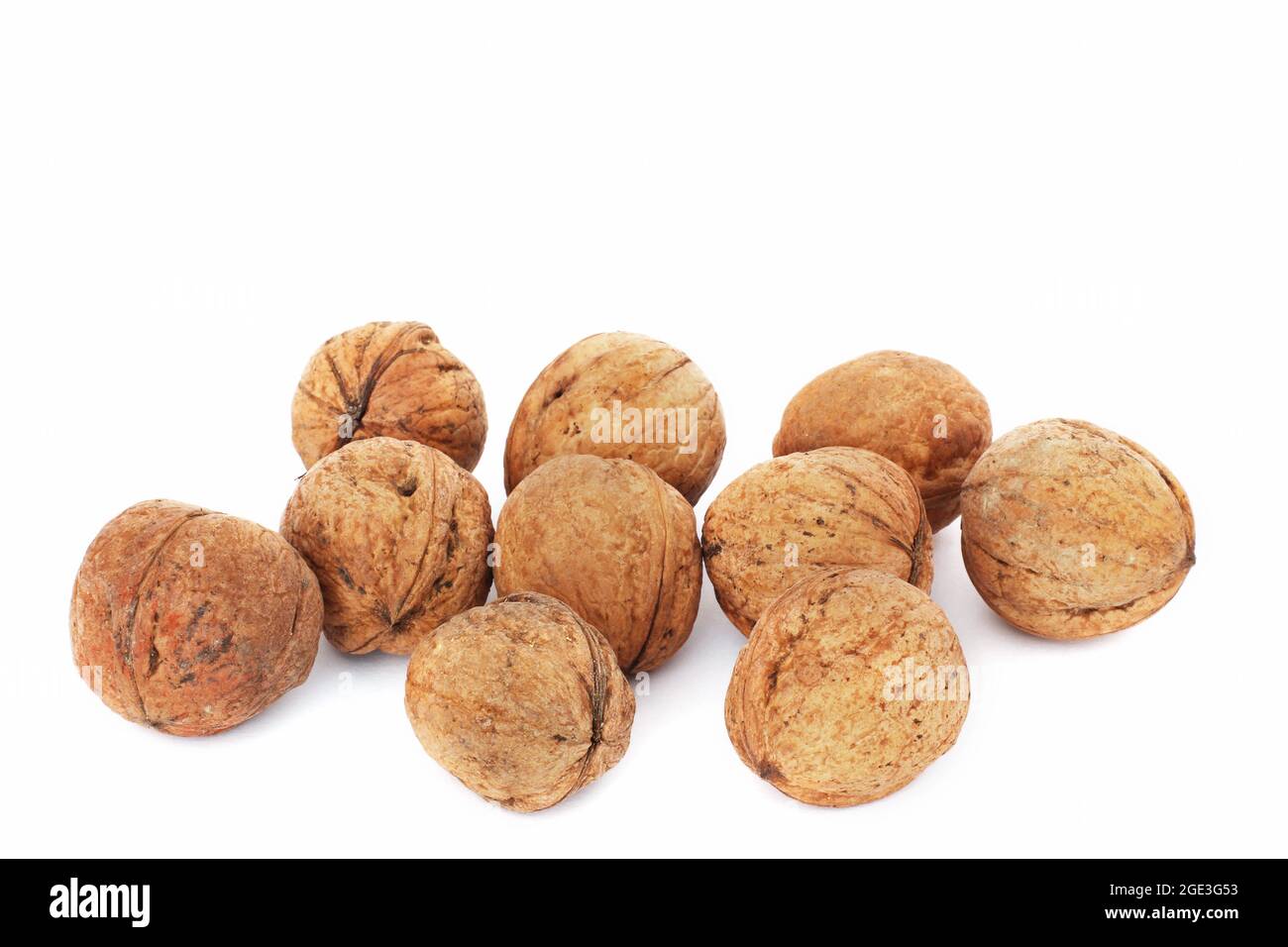 Cracked sea shells hi-res stock photography and images - Alamy