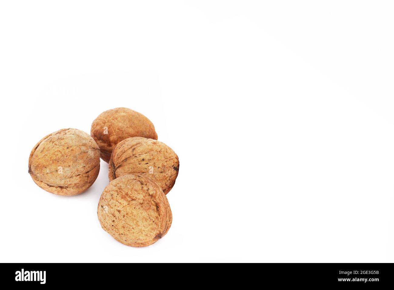 Cracked sea shells hi-res stock photography and images - Alamy