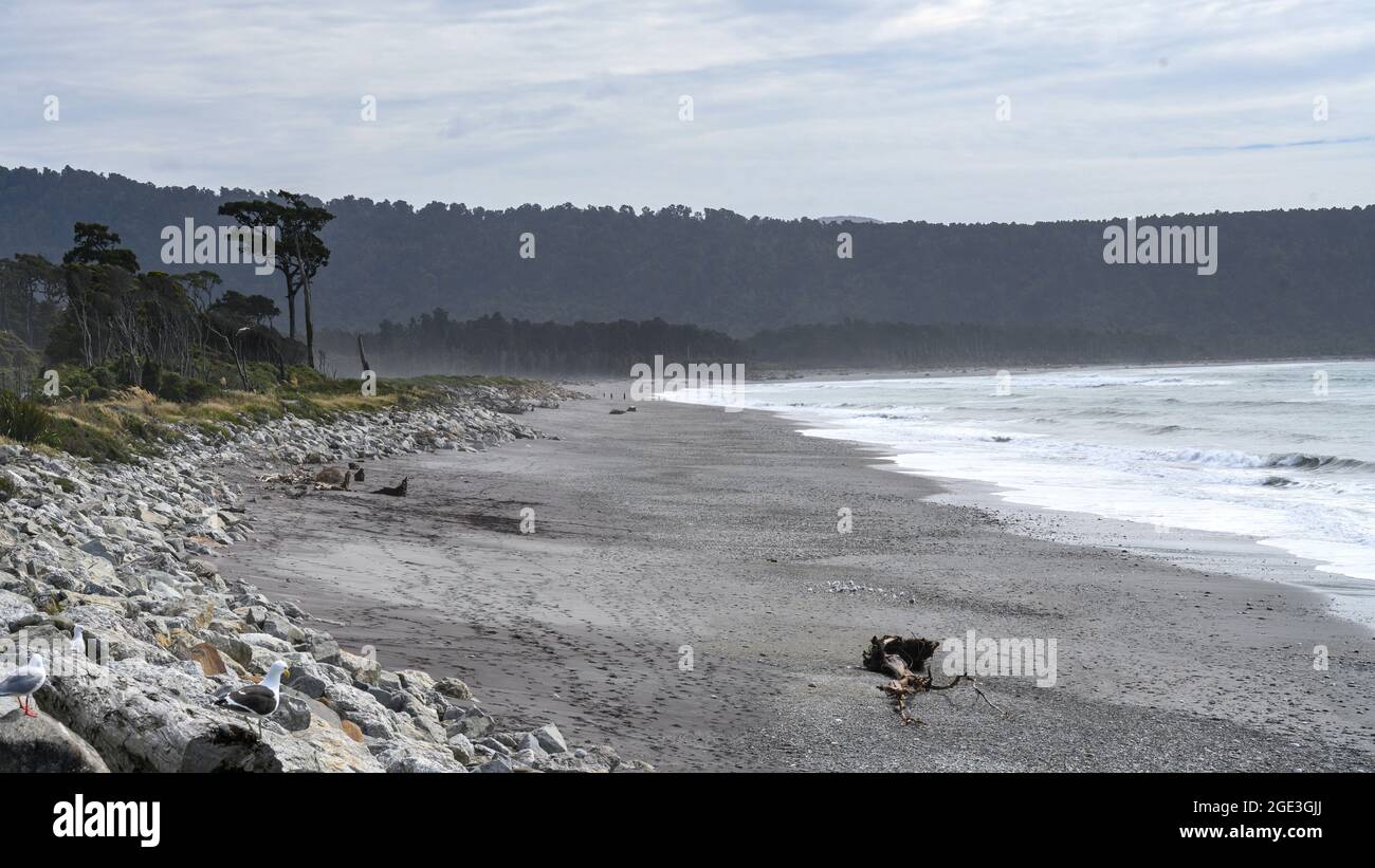 Scenic view of Bruce Bay Beach, Fox Glacier-Haast, Whataroa, West Coast ...