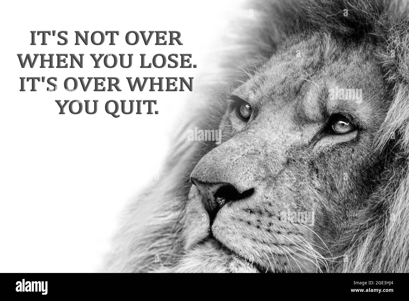 Inspirational Motivational quote , it's not over when you lose it's ...