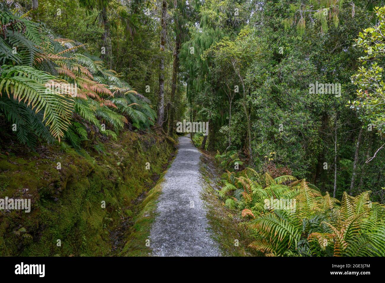 Pakihi walk hi-res stock photography and images - Alamy