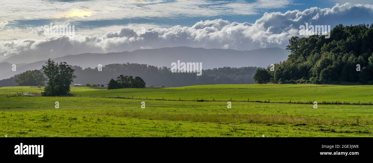 Totara flats hi-res stock photography and images - Alamy
