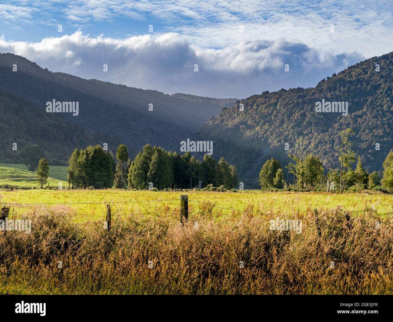 Totara flats hi-res stock photography and images - Alamy