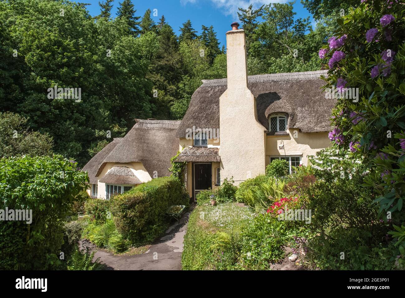 Selworthy in west somerset hi-res stock photography and images - Alamy