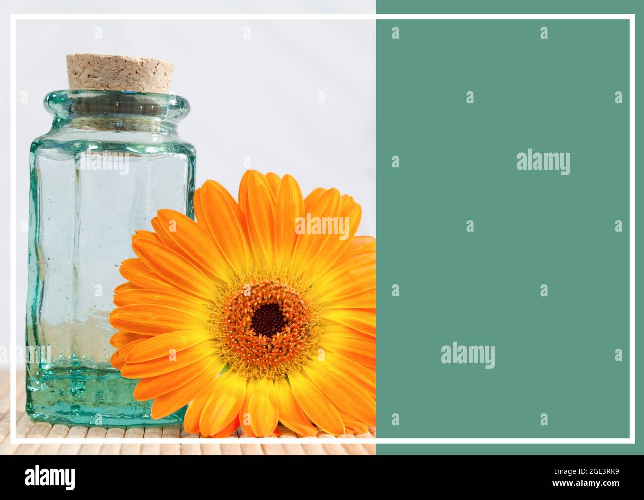 Composition of vial and flower over green background Stock Photo - Alamy