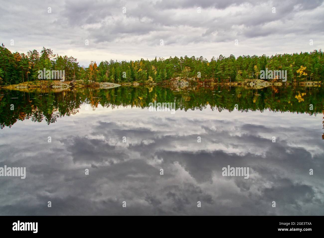 Lake and forest edge in autumn with cloudy sky reflecting in the water ...