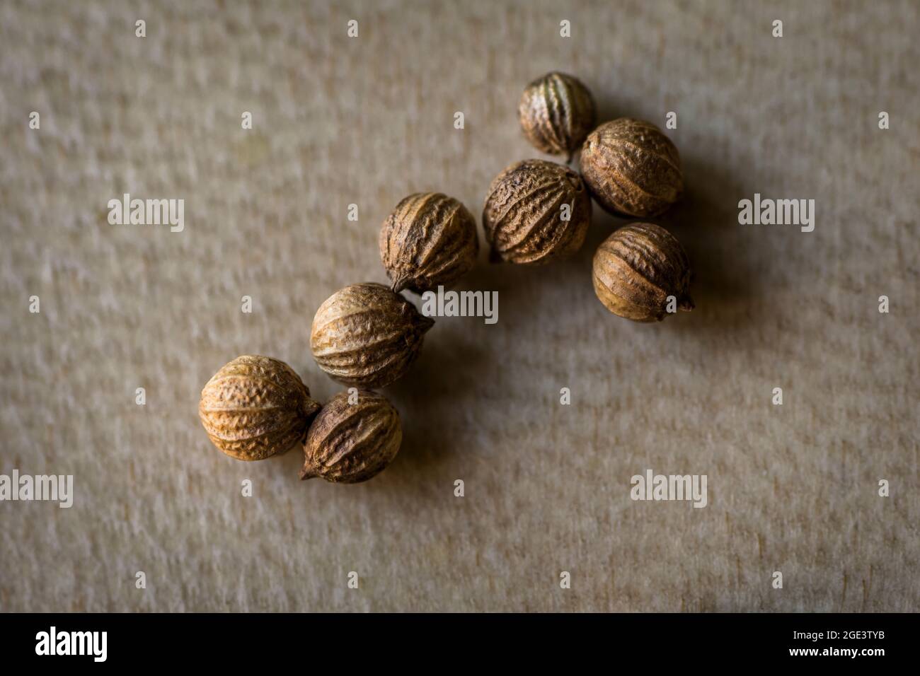 Seeds and shells hi-res stock photography and images - Alamy